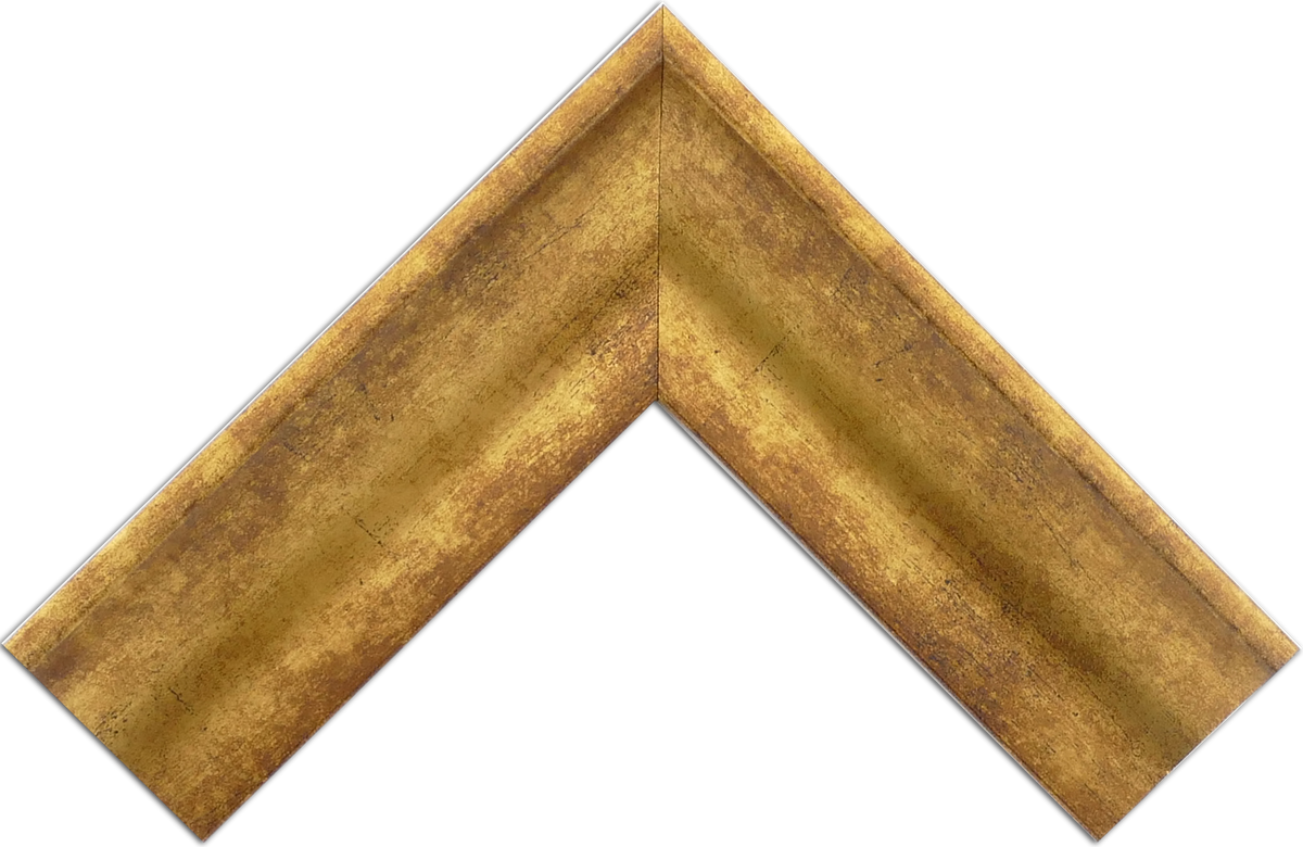 S160 Roman Gold – Frames for Portraits